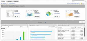 QuickBooks Company Snapshot: Customize, Print, Read, Manage & Use